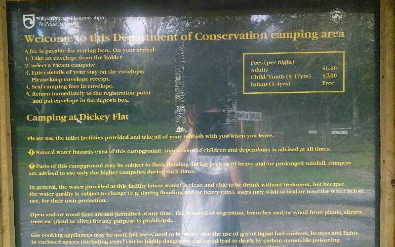 Dickey Flat Campsite | Freedom/Basic Camp | New Zealand